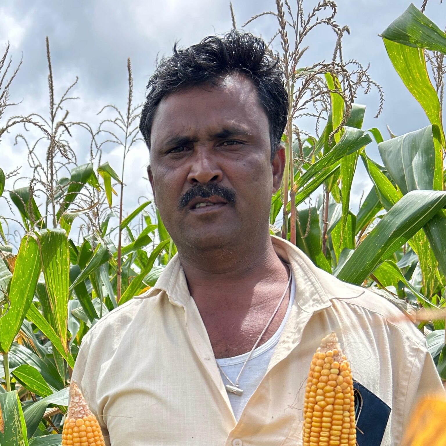 Home - Prabhat Seeds